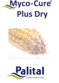 Reproductores y Suministros | R & S | Myco-Cure® Plus Dry